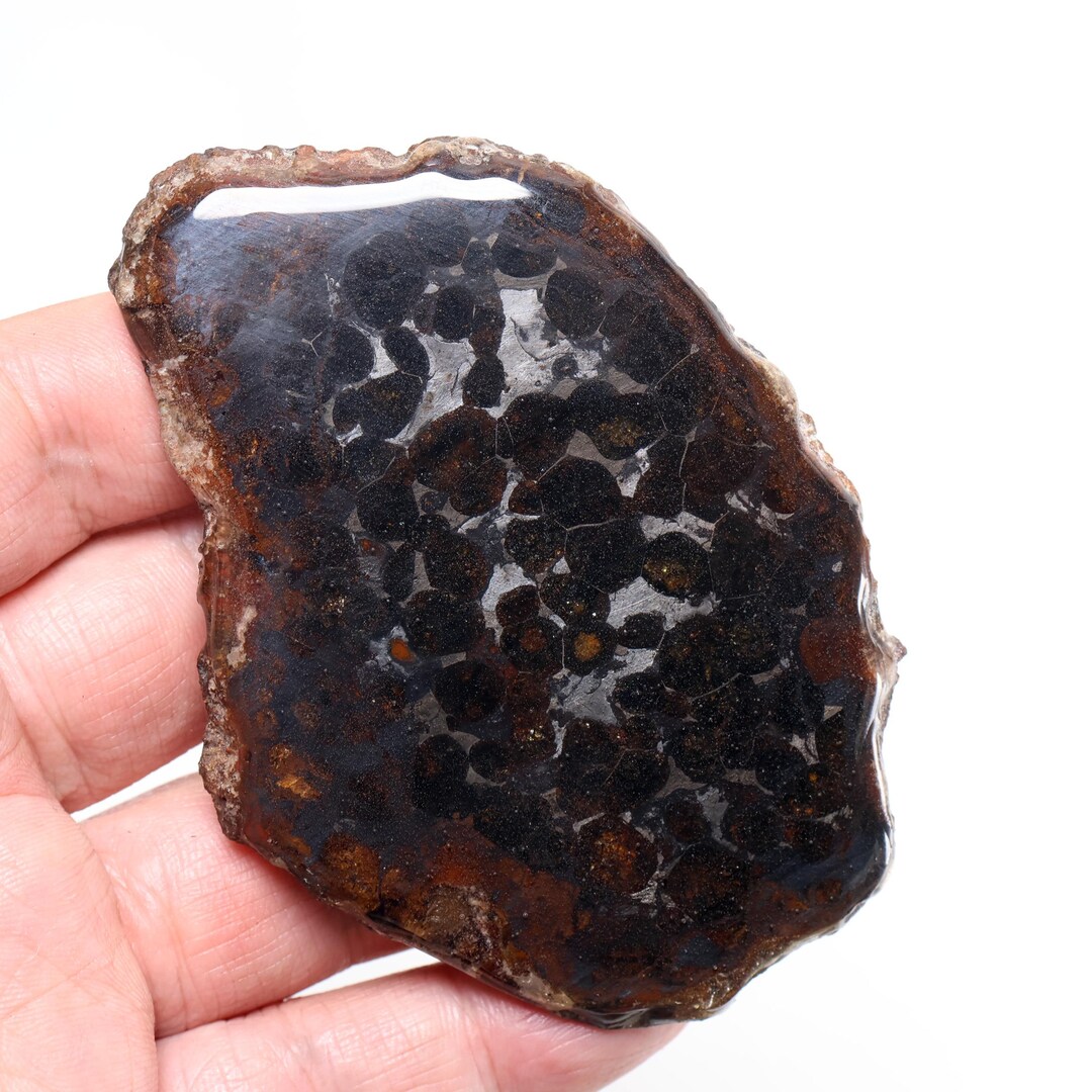 60g Pallasite Meteorite Slice,sericho Kenyan Meteorite D6668 - Etsy