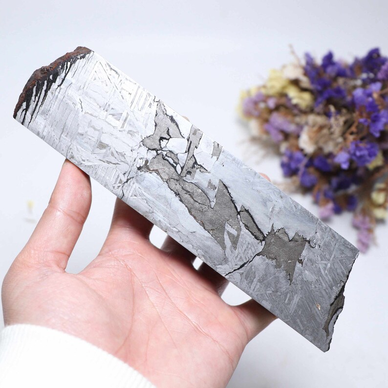 Muonionalusta Meteorite Part Slice D3554 - Etsy