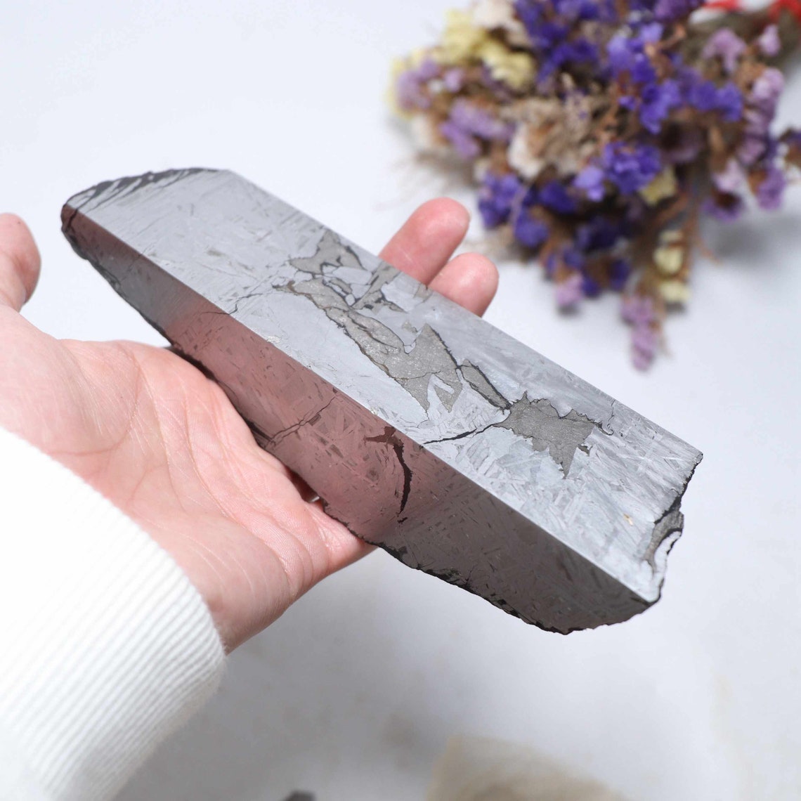 Muonionalusta Meteorite Part Slice D3554 - Etsy