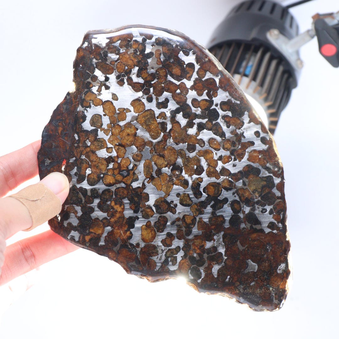 Pallasite Meteorite Slice, 241g Kenyan Meteorite Slice, From Kenya ...