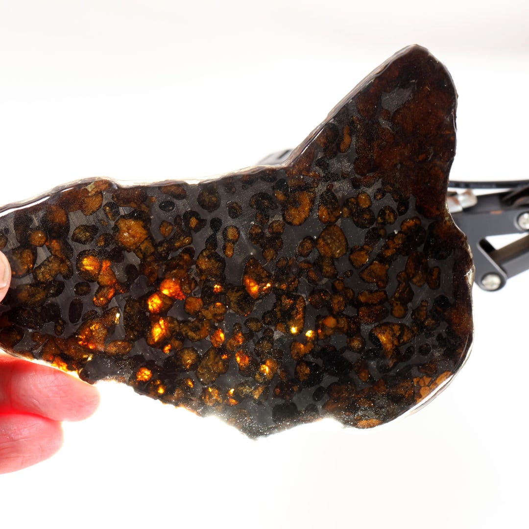 Pallasite Meteorite Slice, 140g Kenyan Meteorite Slice, From Kenya ...