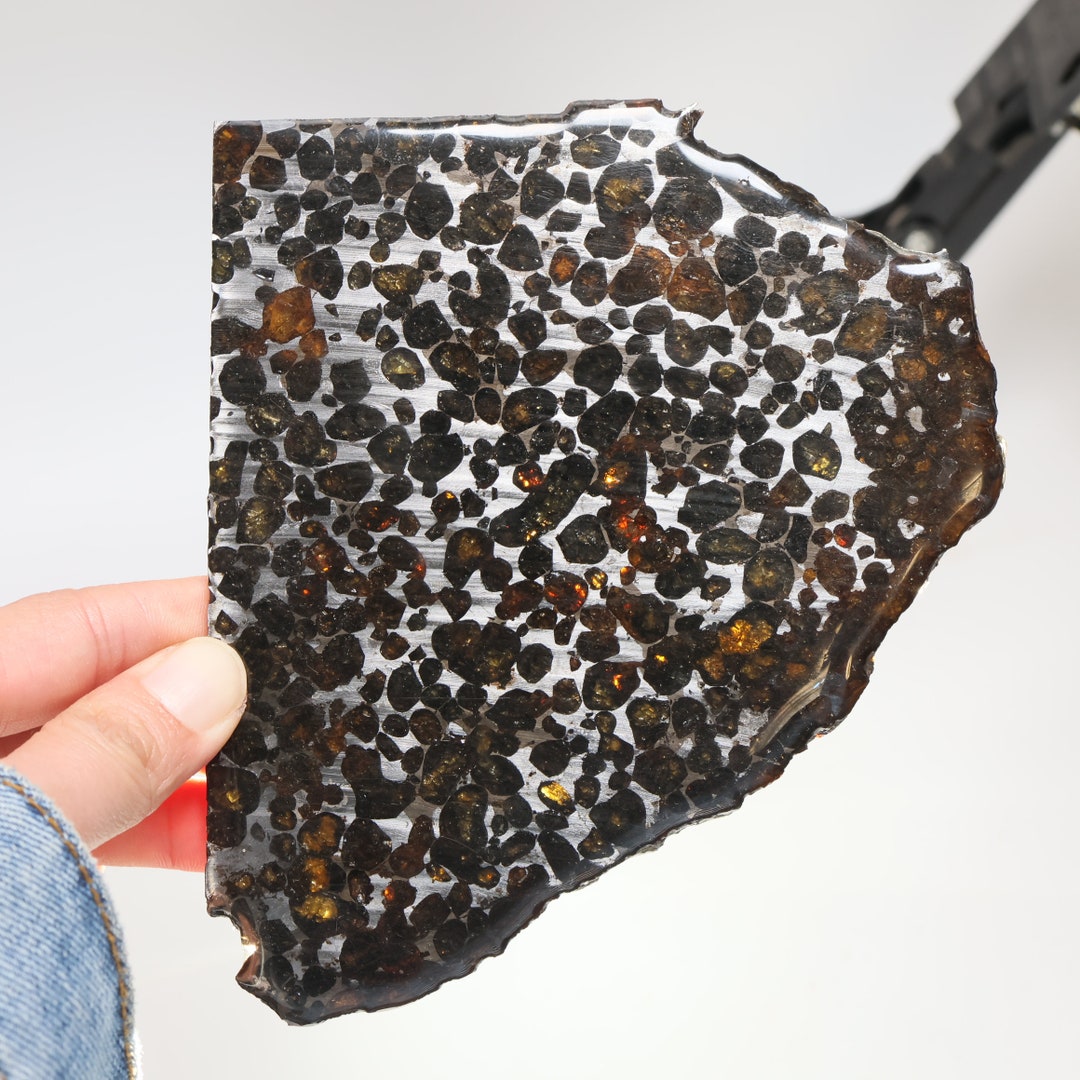 Beautiful SERICHO Pallasite Meteorite Slice From Kenya D5258 - Etsy