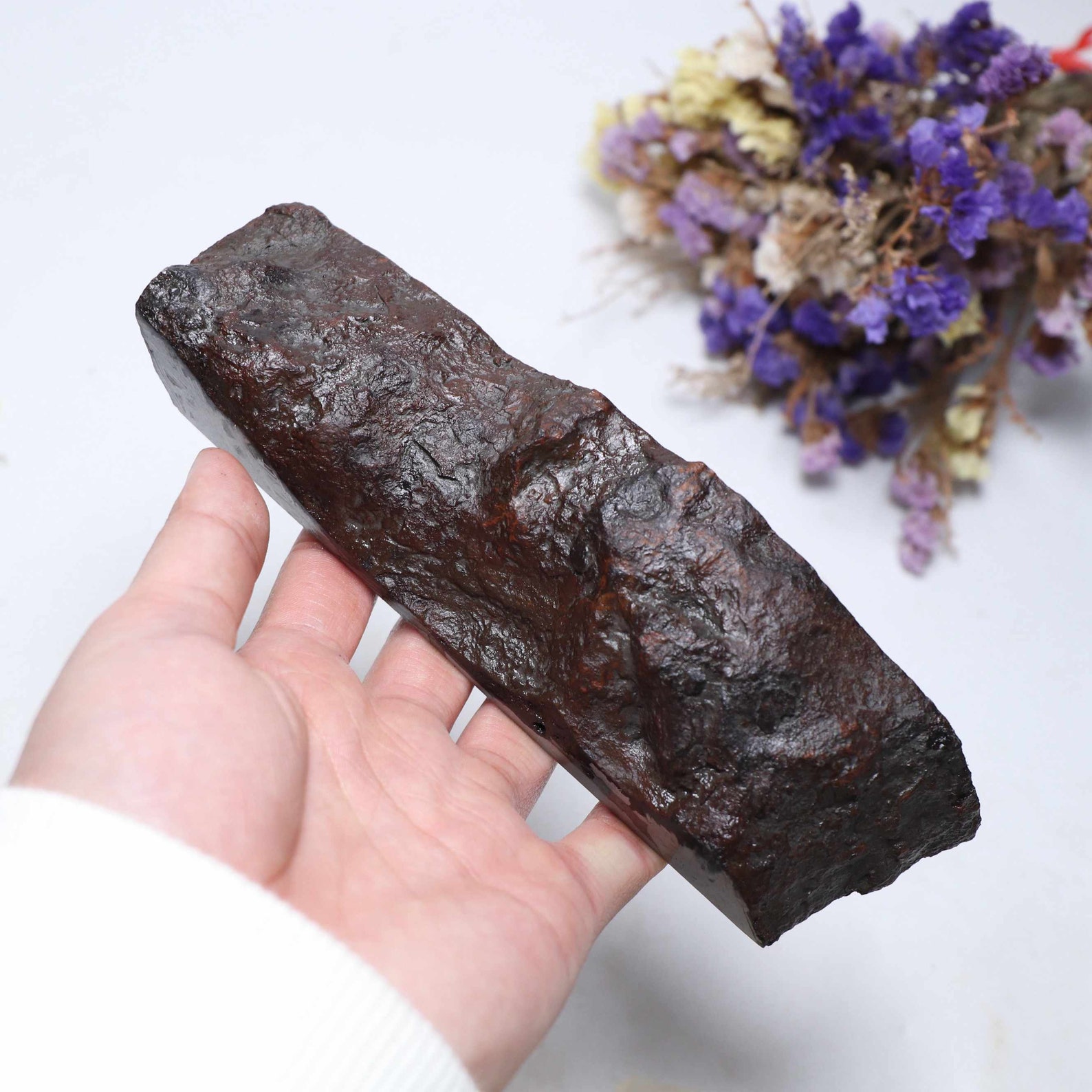 Muonionalusta Meteorite Part Slice D3554 - Etsy