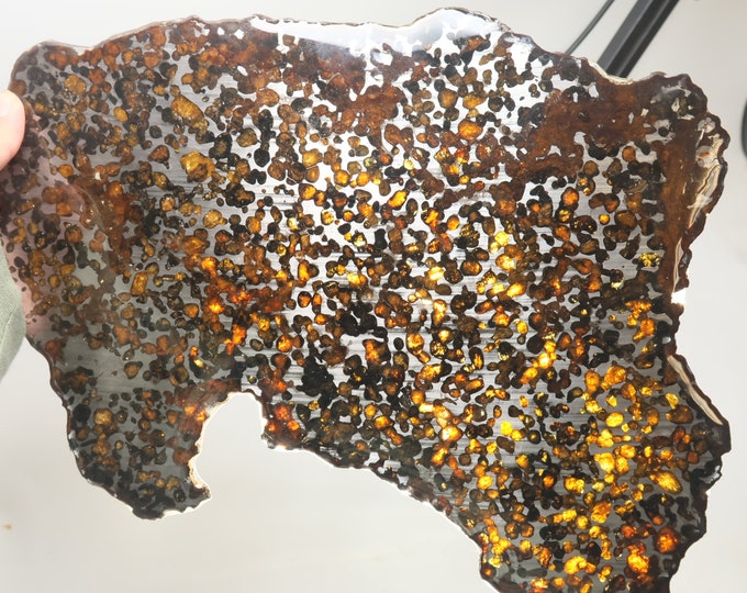 Pallasite Meteorite Slice, 641g Kenyan Meteorite Slice, From Kenya ...
