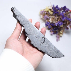 Muonionalusta Meteorite Part Slice D3554 - Etsy