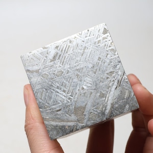 Muonionalusta Meteorite Part Slice D5795 - Etsy