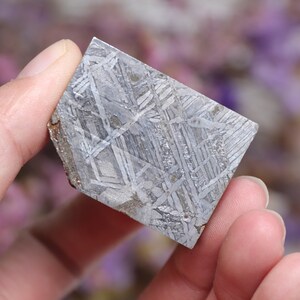 Muonionalusta Meteorite Part Slice D4000 - Etsy