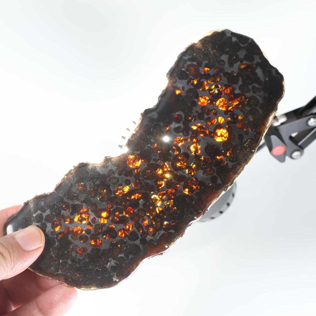 Meteorite Slices, Kenyan Olive Meteorites,129g Olive Meteorite Gifts ...