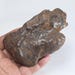 Gebel Kamil Iron Meteorite 760g Meteor Shrapnel D6519 - Etsy