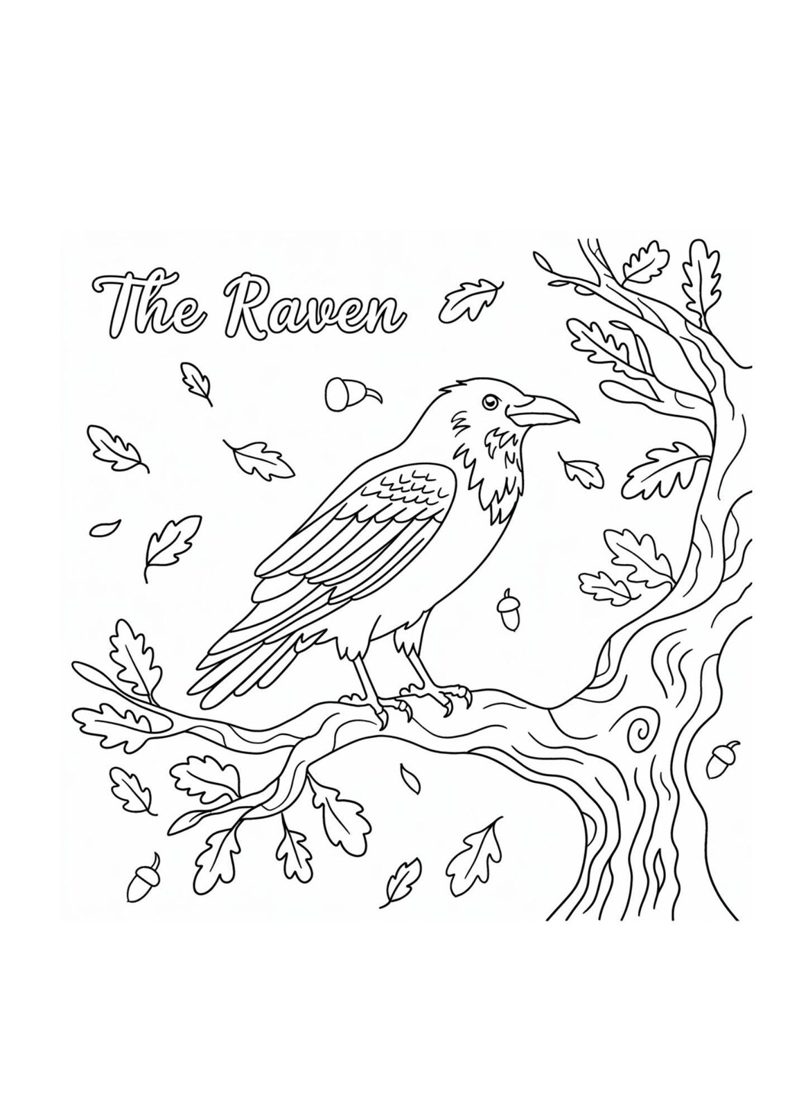 Arche Noah-god Wisdom -coloring Pages for Toddler - Etsy