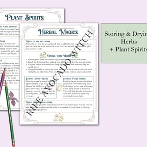 Herb Magick Guide | Herbology for Witchcraft - Printable Pages - Etsy