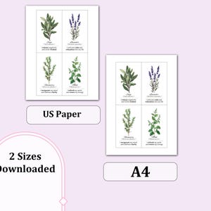 Affirmation Cards - Botanical | 50 Printable Affirmation Cards for ...