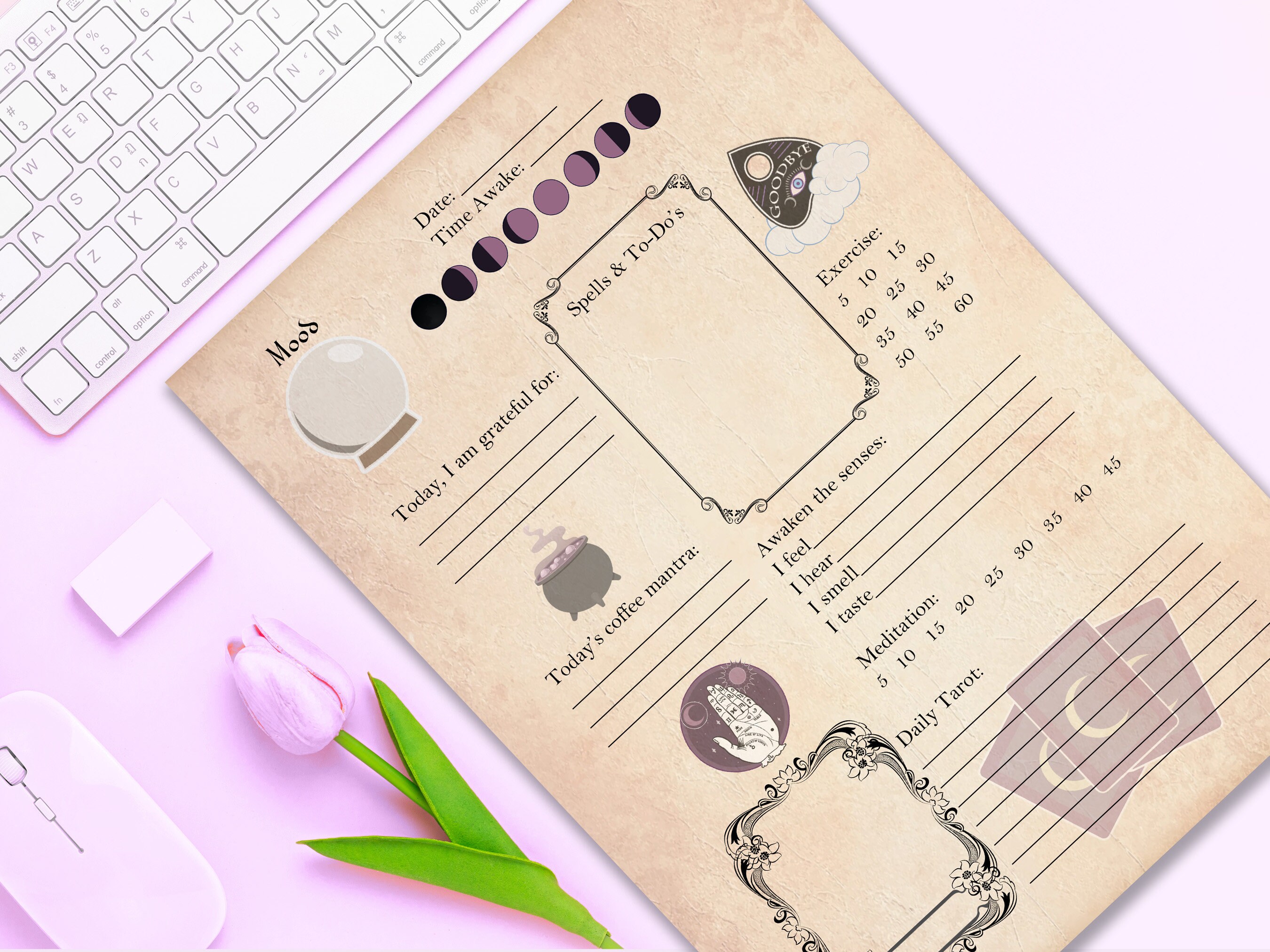 Witchy Morning Routine Journal Daily Tarot Meditation - Etsy