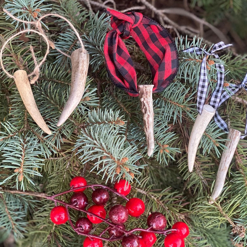 Antler Shed Ornament - Etsy Canada
