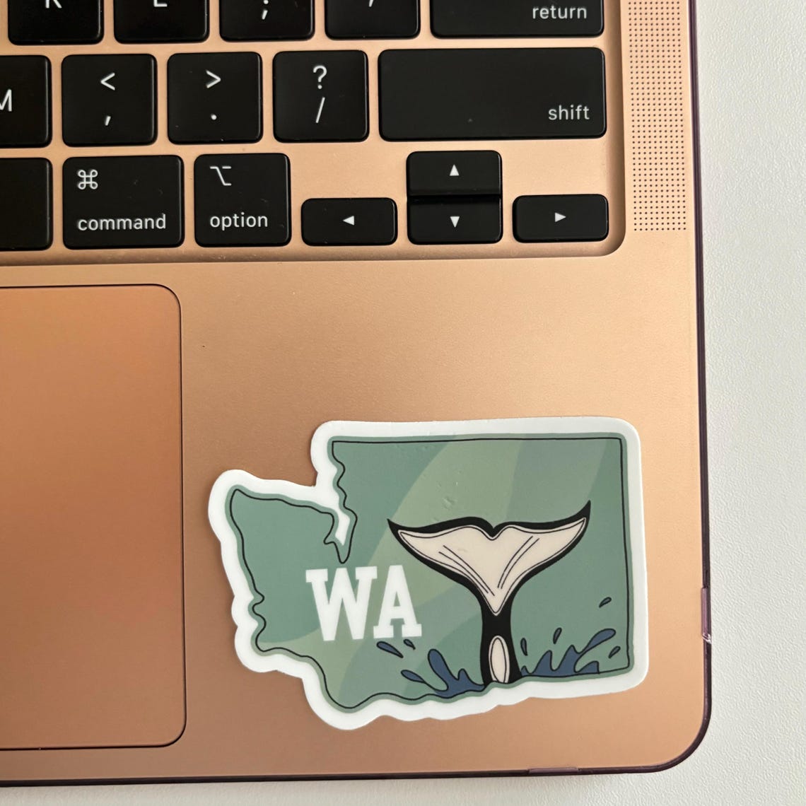 Washington Sticker - Etsy