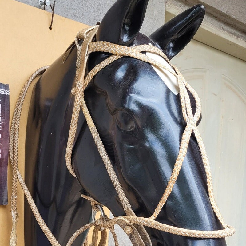 Rope Bridle - Etsy