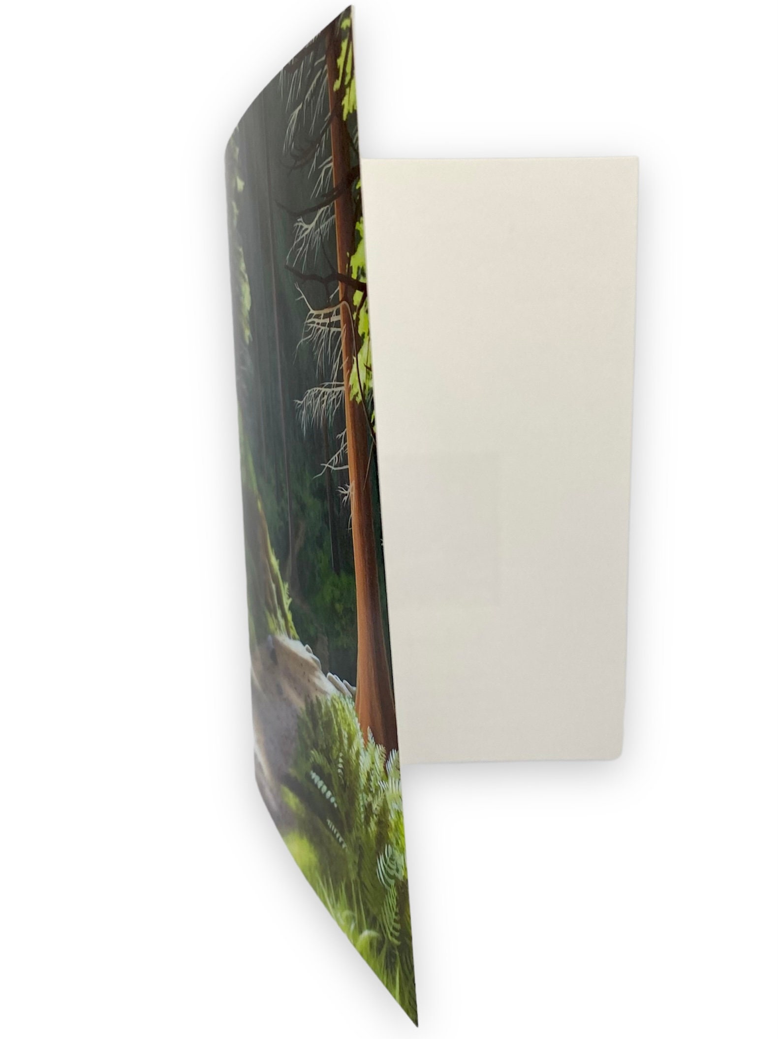 Forest Hiking Card- Hiking Trail Card- Hiking Greeting Card- Canadian ...