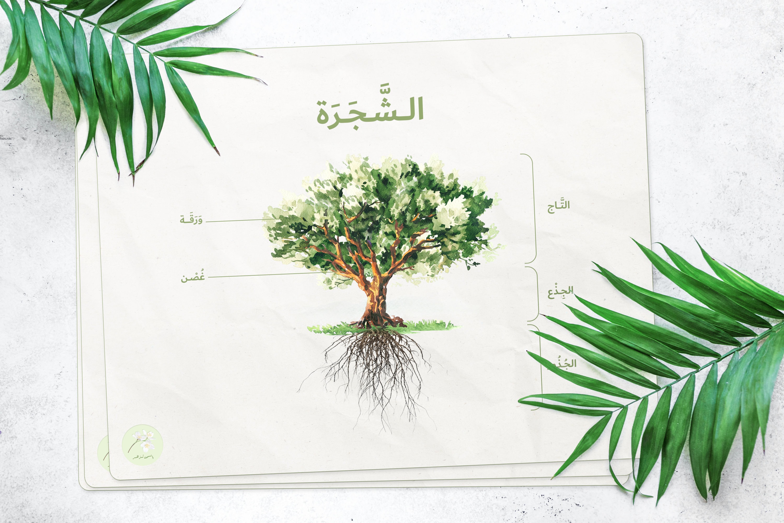 Tree Anatomy Arabic Nature Printable - Etsy