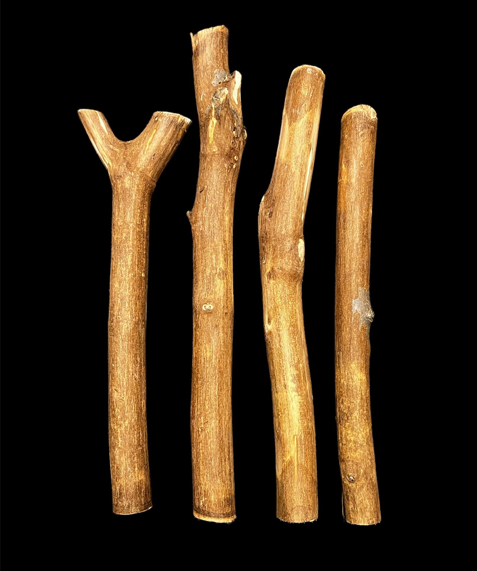 Vermont Sugar Maple Sticks for Arts and Crafts Projects, Natural, Wild ...