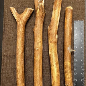 Vermont Sugar Maple Sticks for Arts and Crafts Projects, Natural, Wild ...