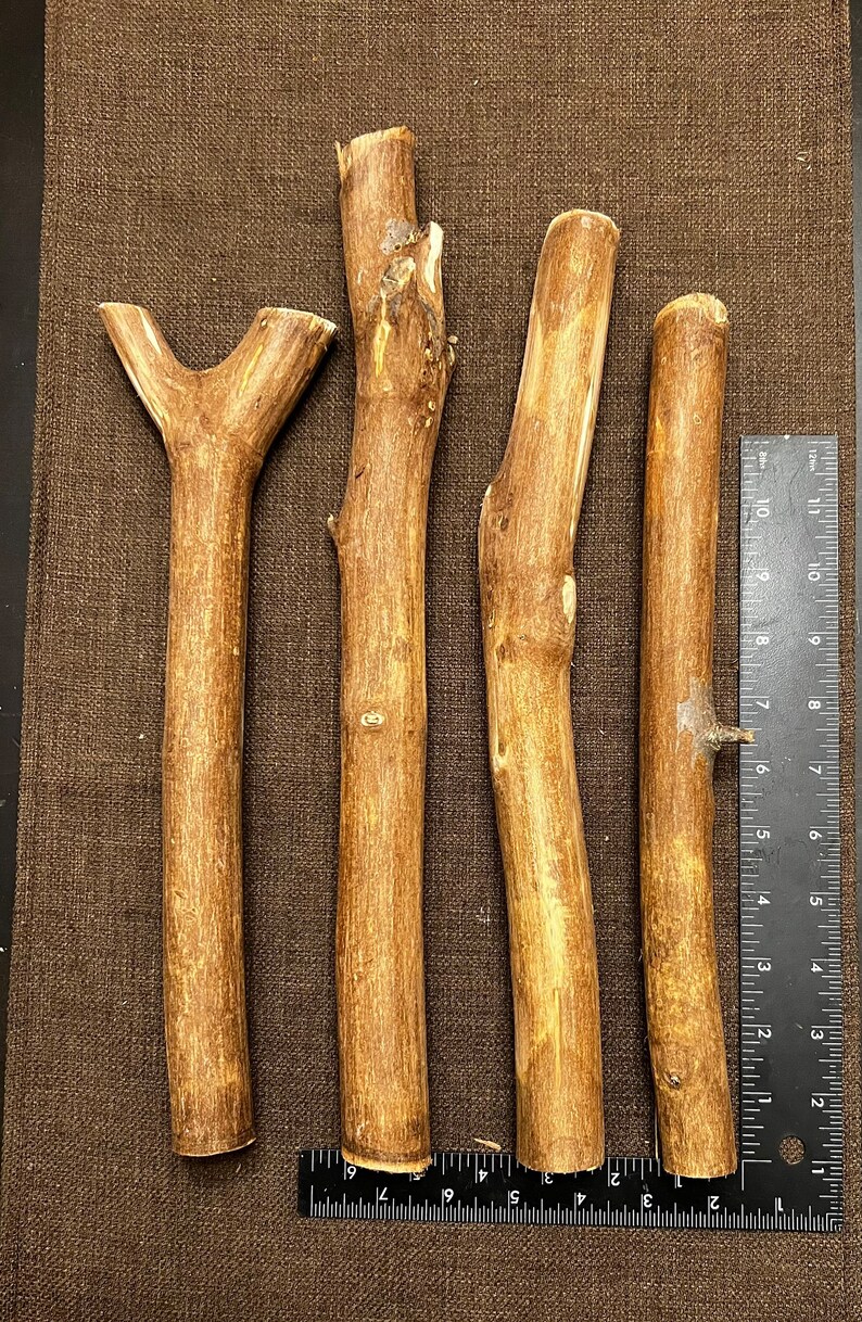 Vermont Sugar Maple Sticks for Arts and Crafts Projects - Etsy