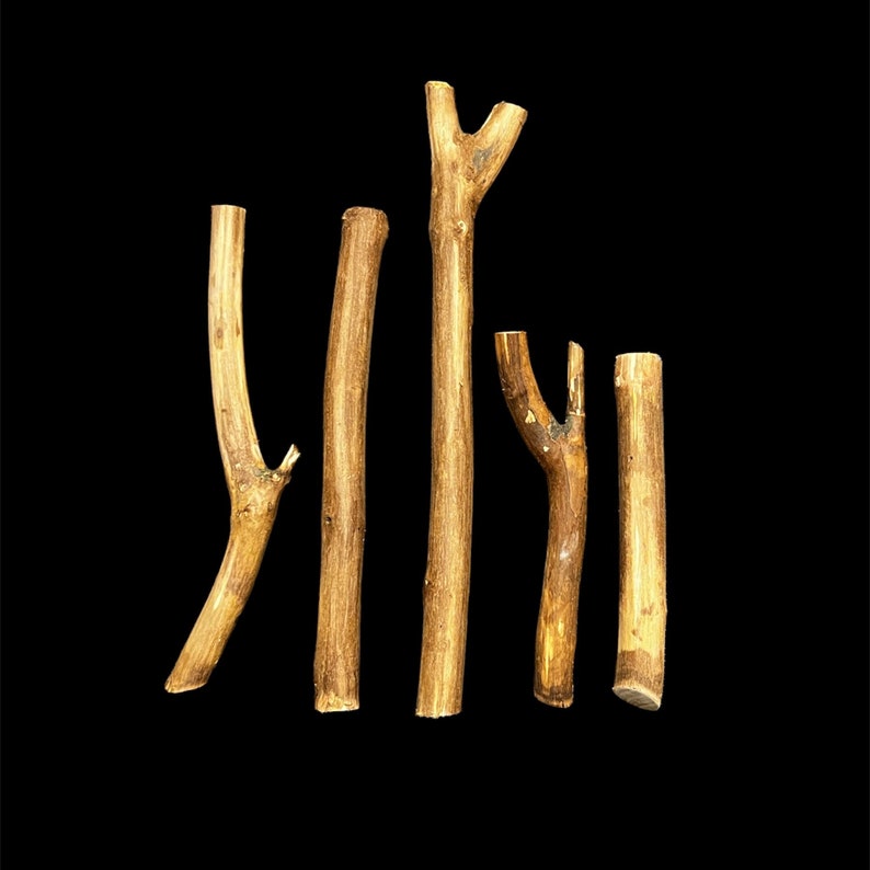 Vermont Sugar Maple Sticks for Arts and Crafts Projects - Etsy