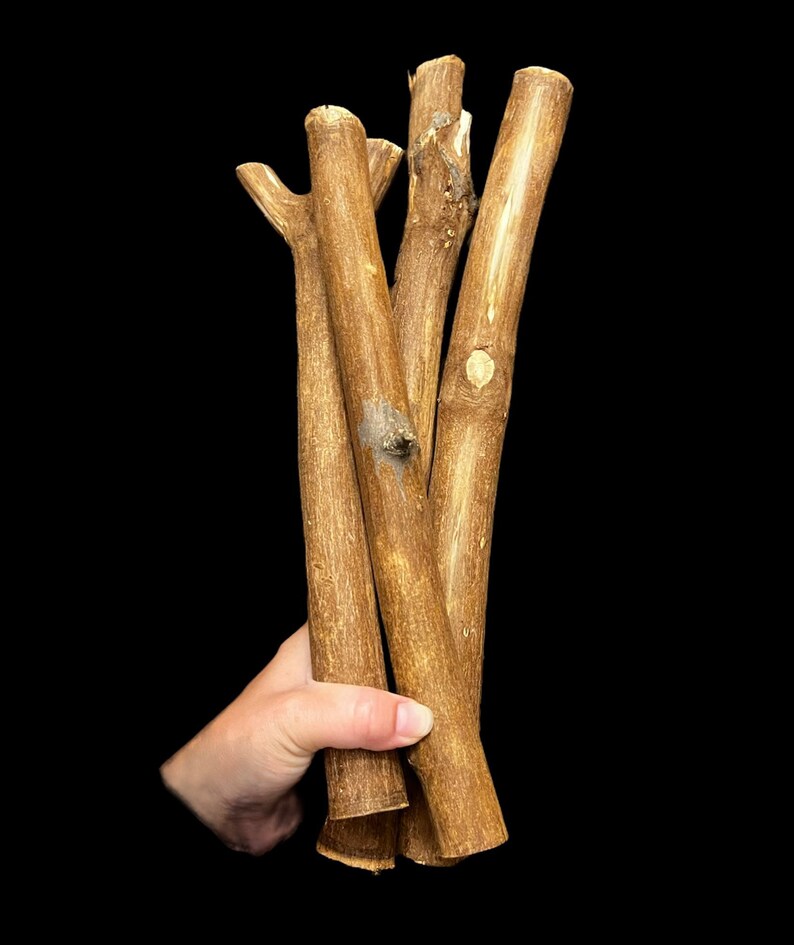Vermont Sugar Maple Sticks for Arts and Crafts Projects - Etsy