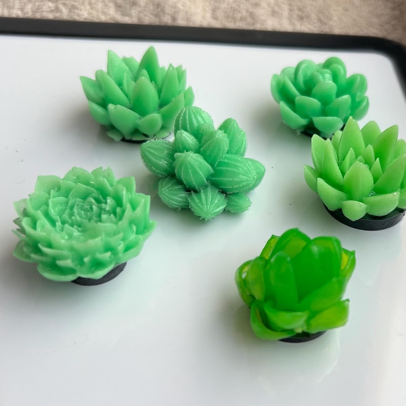 Succulent Magnet - Etsy
