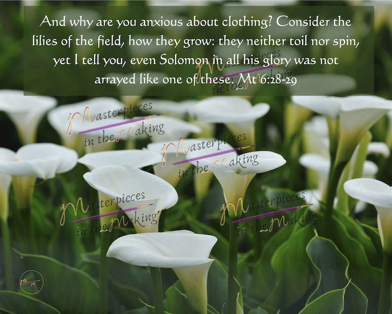 Lilies of the Field God Will Clothe You Bible Verse Christians Art ...