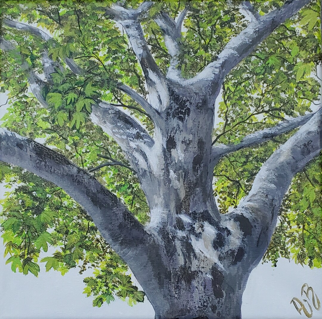 Acrylic Painting , Tree Original Painting , Sycamore Tree , Canvas Art ...