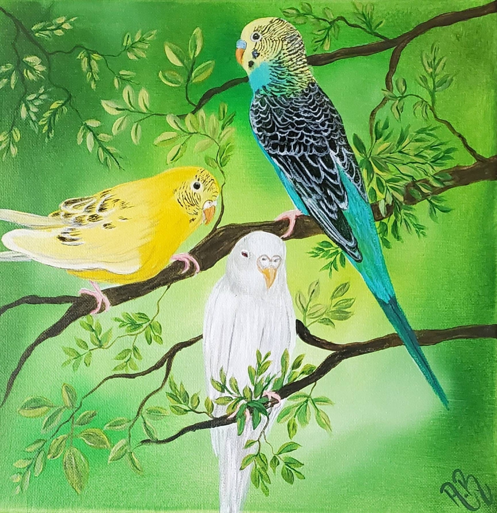 Acrylic Painting Parakeets Painting on Canvas Original - Etsy