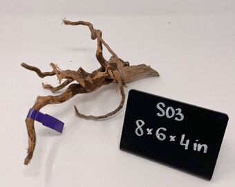 Fish Tank Spider Wood - Etsy