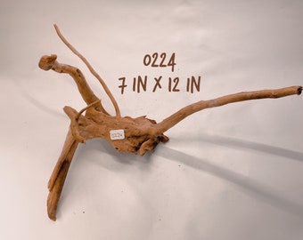 Fish Tank Spider Wood - Etsy