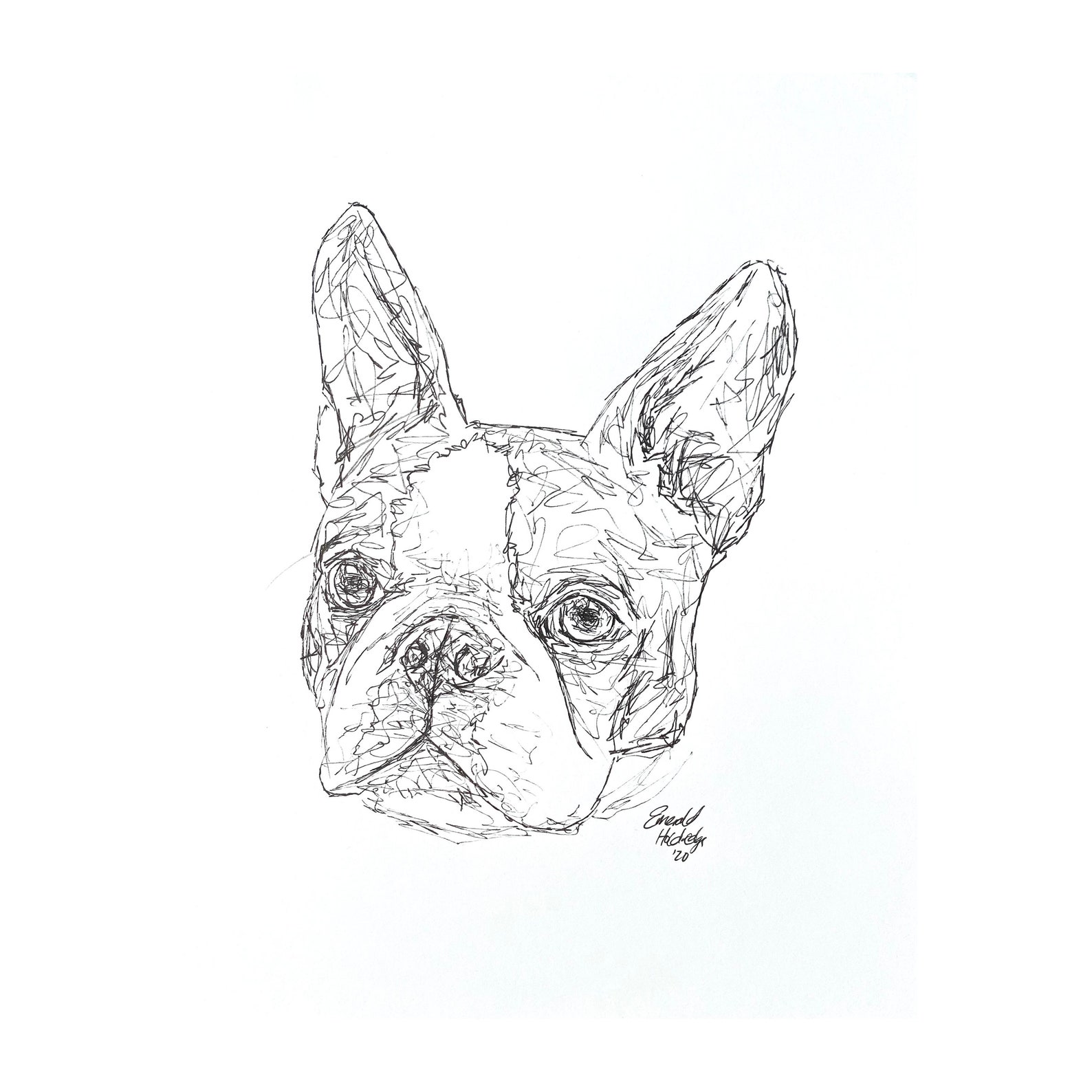 French Bulldog Pen Drawing Sketch Art - Etsy