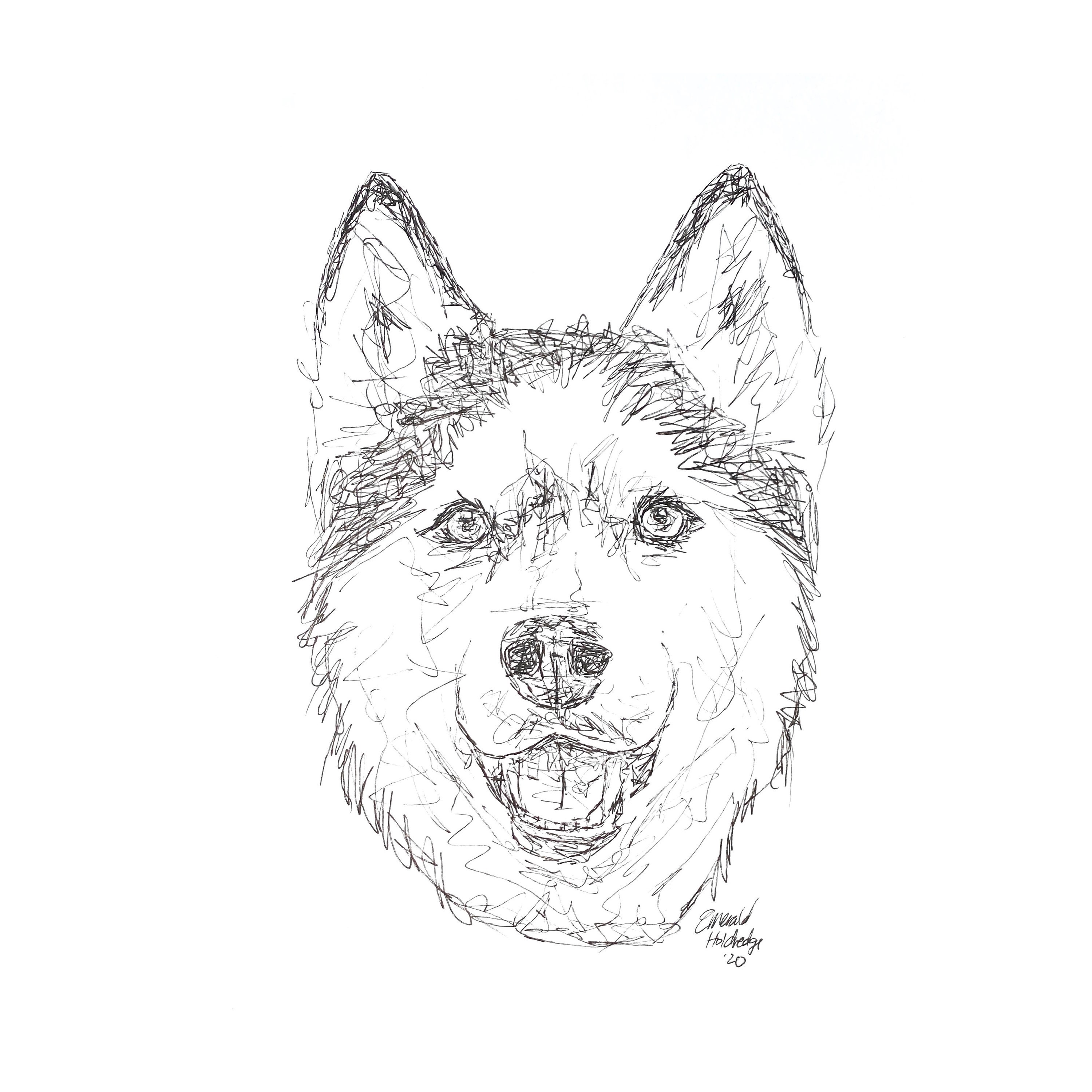 How To Draw A Easy Husky Face