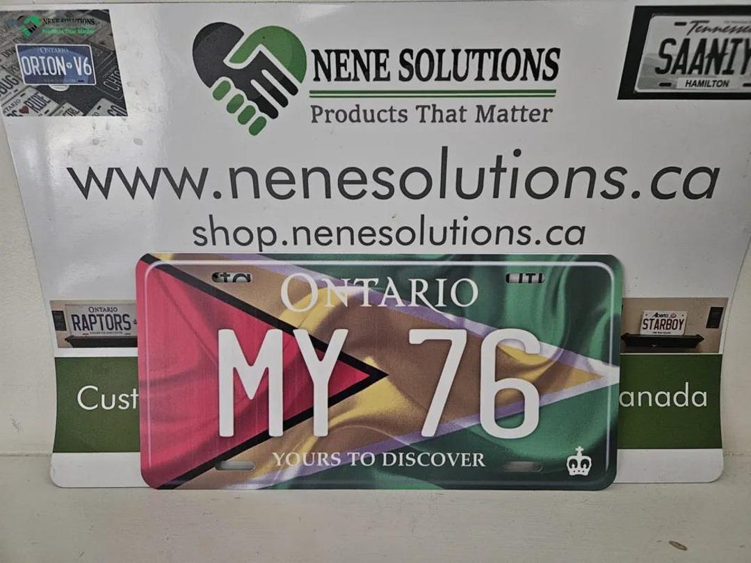 Custom Guyana Flag Car Size License Plate – Personalized 3D Printed ...