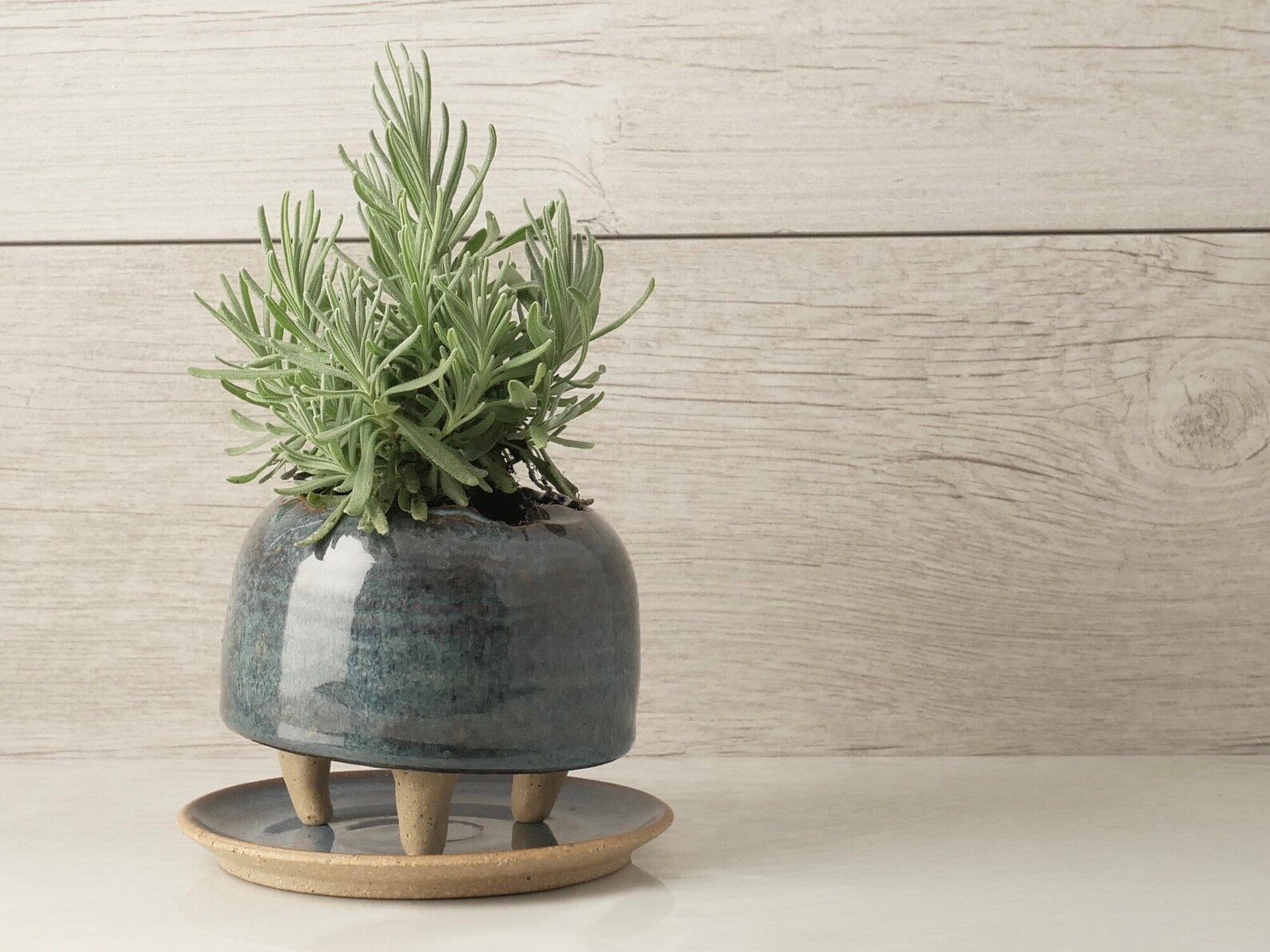Handmade Pottery Planter - Etsy
