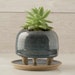 Handmade Pottery Planter - Etsy