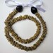 Hawaii Wedding Mongo Shells With Kukui Nut Lei Necklace - Etsy