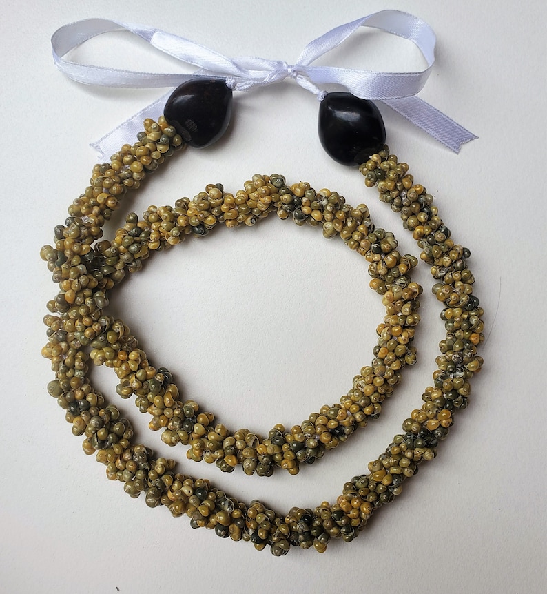 Hawaii Wedding Mongo Shells With Kukui Nut Lei Necklace - Etsy