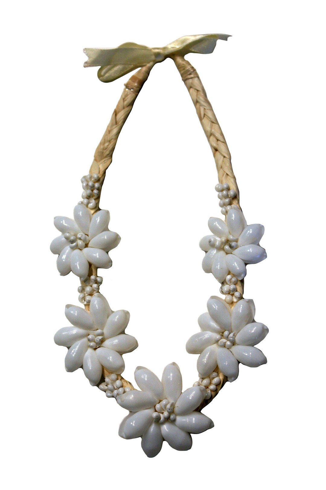 Beige or White Flower Sigay/cowrie Shell With 6mm Mongo Shell Clusters ...
