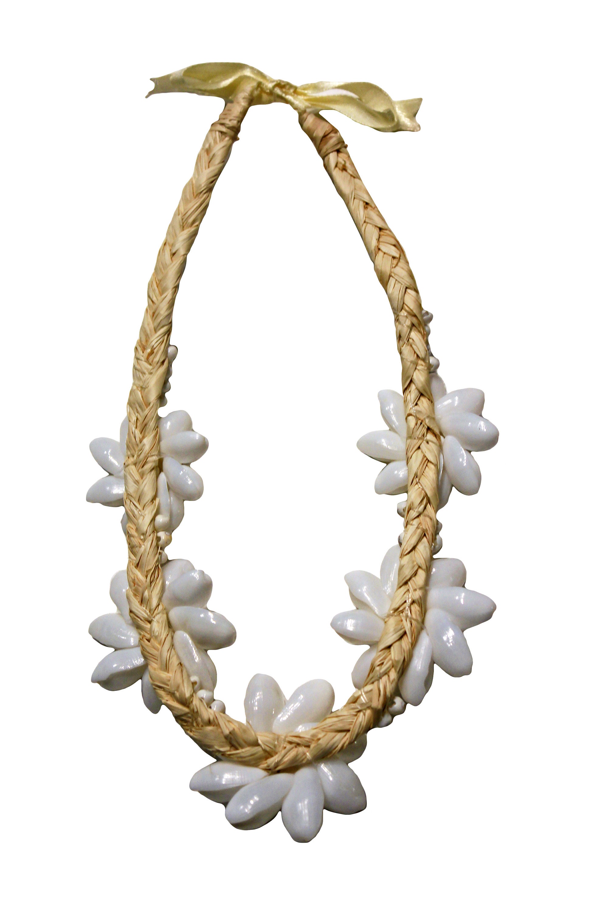 Beige or White Flower Sigay/cowrie Shell With 6mm Mongo Shell Clusters ...