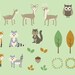 Forest Animals Clipart | Woodland Clipart | Commercial Use | Woodland ...