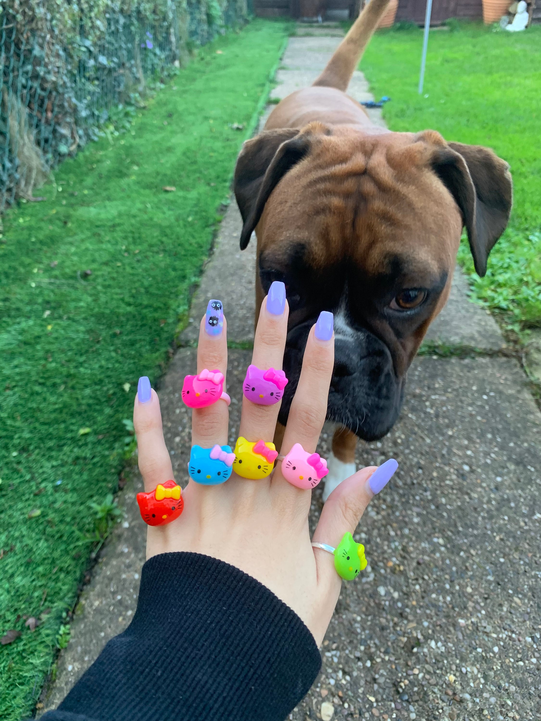 Colourful Kitty Rings, Rainbow, Kawaii Ring - Etsy
