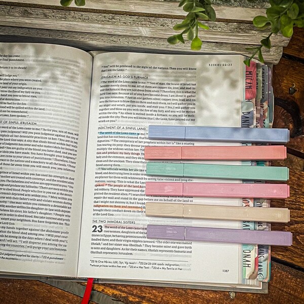 Bible Highlighter - Etsy