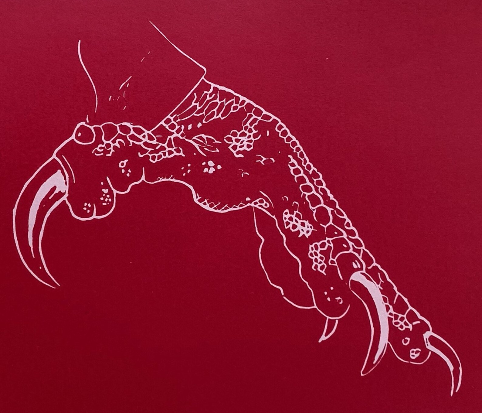 Talons Framed Goshawk Claw Relief Hawk Bird of Prey Print Linocut Lino ...