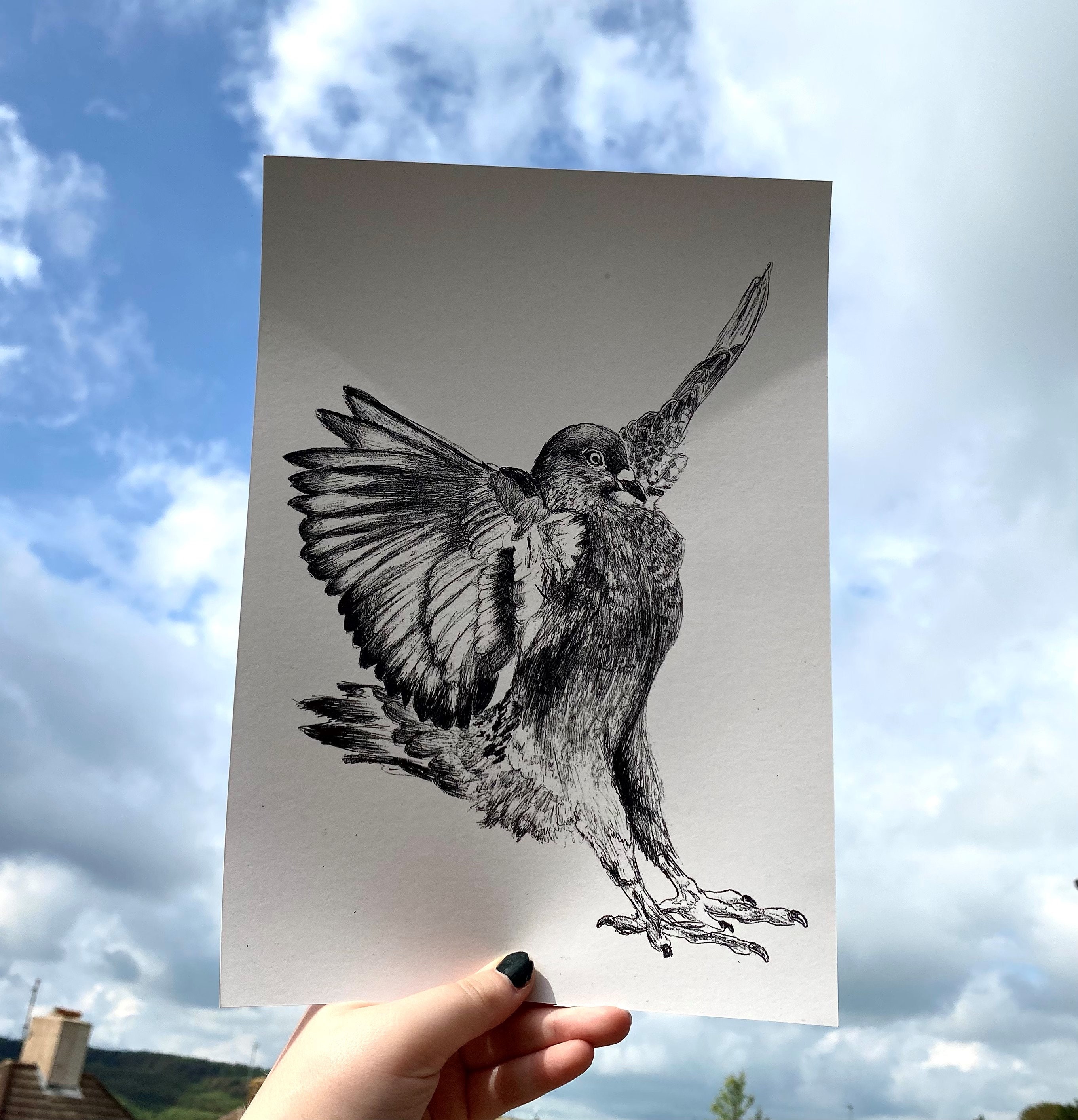 Pigeon Print A4 Biro Pen Drawing Flying Bird Monochrome Grey - Etsy España