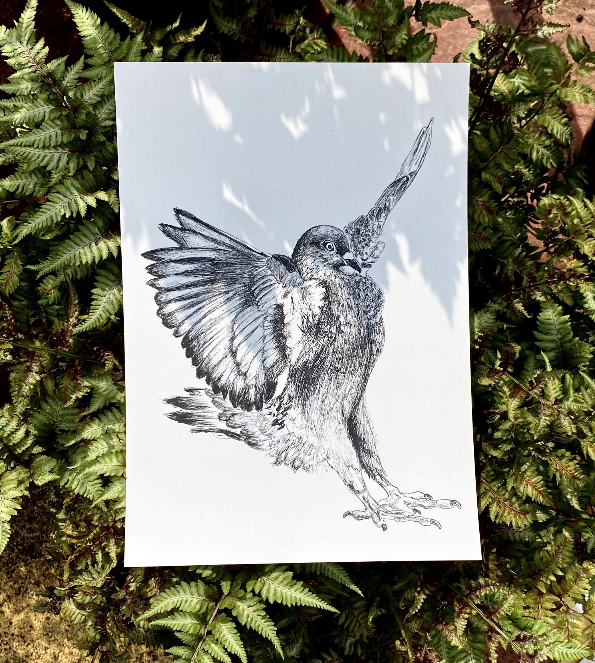 Pigeon Print A4 Biro Pen Drawing Flying Bird Monochrome Grey - Etsy España