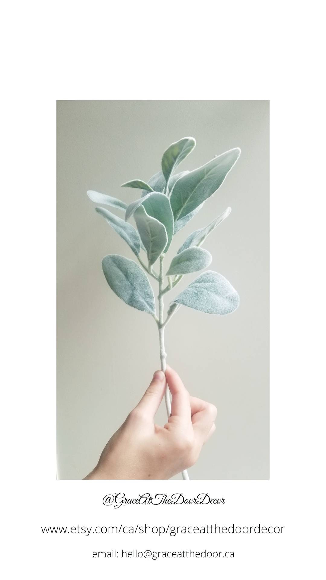 Lambs Ear Greenery, Lambs Ear Evergreen, Faux Lambs Ear, Wedding ...