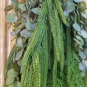 Mixed Greenery Winter Teardrop Swag, Norfolk Pine Teardrop Wreath ...